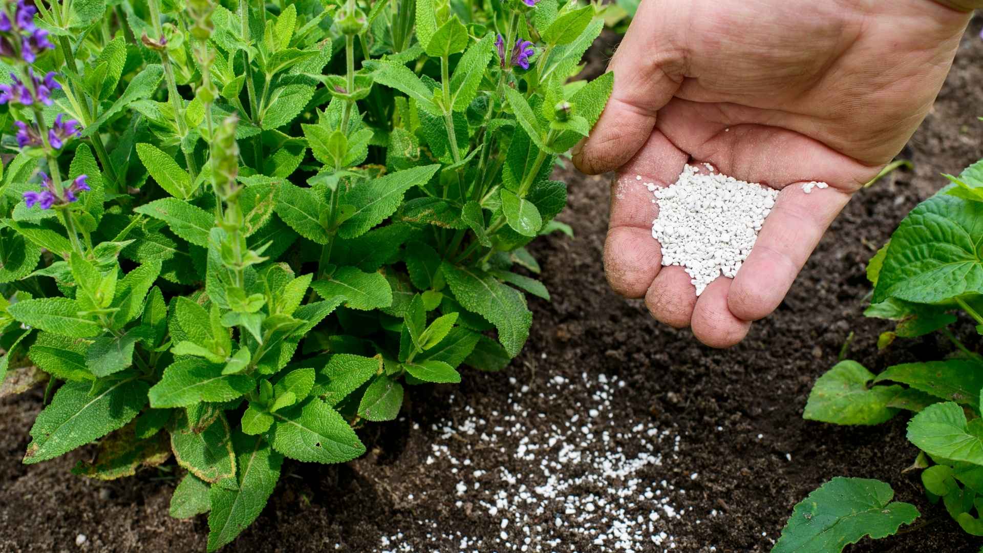 Quais são os ingredientes para fazer adubo NPK orgânico caseiro?